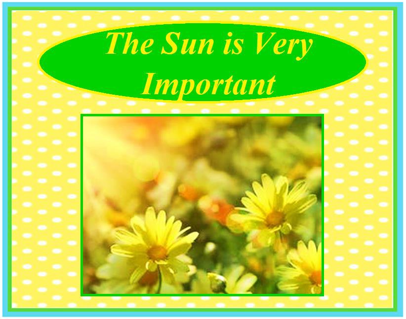 The Sun is Very Important - Loving2Read